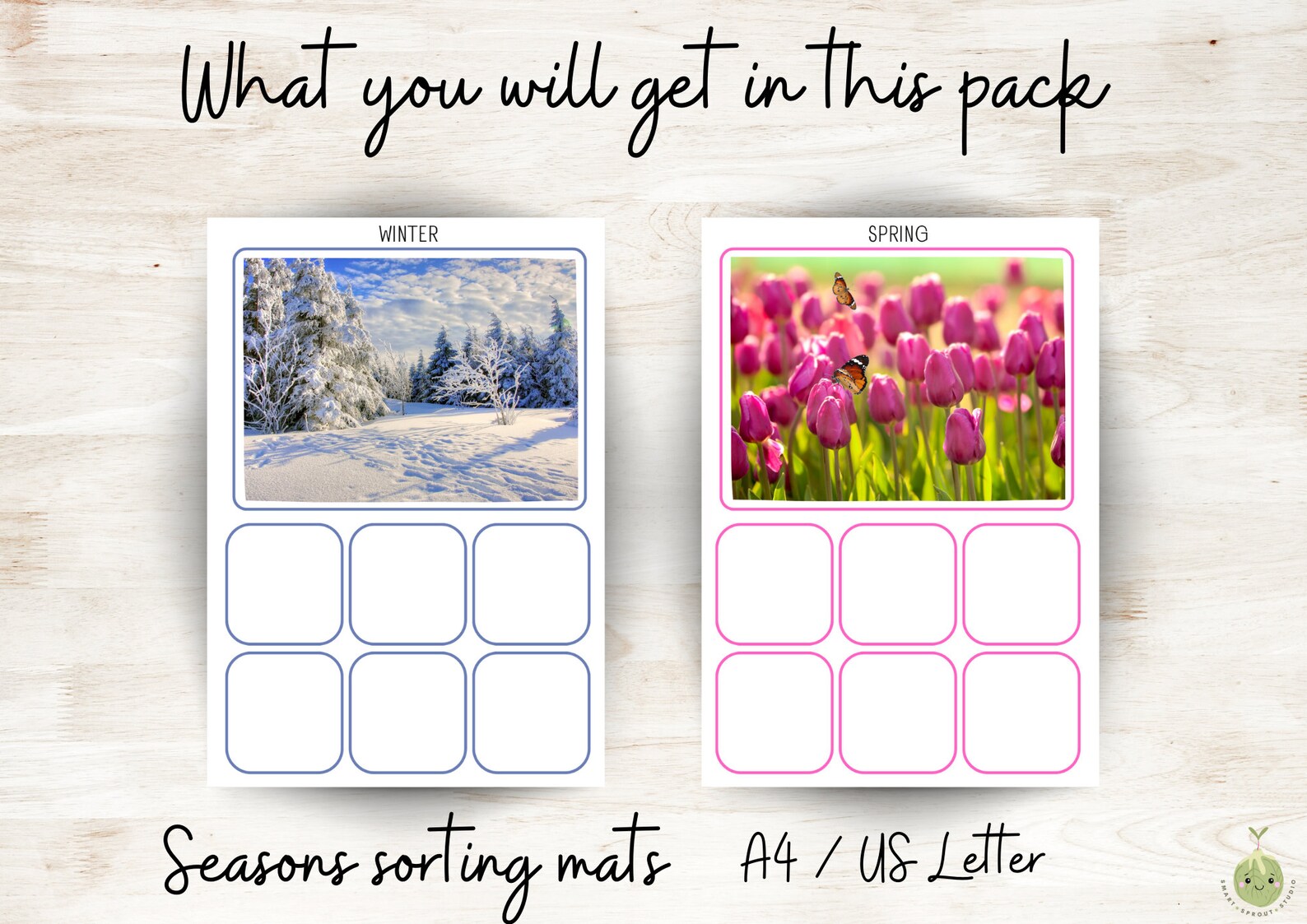 Homeschool Printable Seasons Sorting Activity for Kindergarten - Etsy