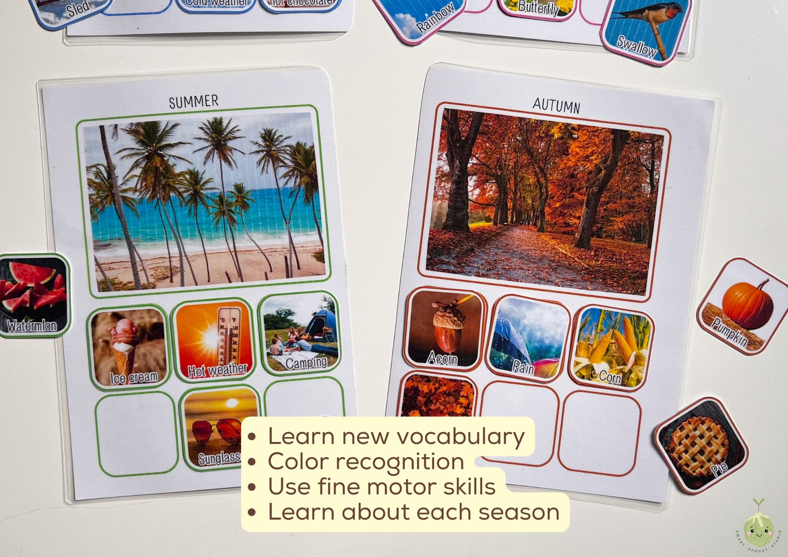 Homeschool Printable Seasons Sorting Activity for Kindergarten - Etsy