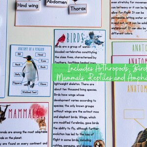 Animal Classification Anatomy Unit Study Printable Homeschool ...