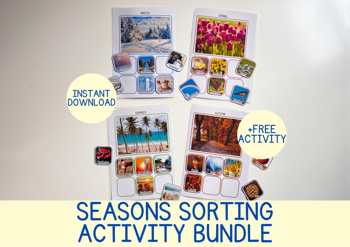 Homeschool Printable Seasons Sorting Activity for Kindergarten - Etsy