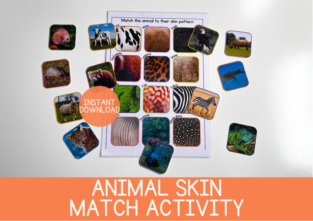 Animal Skin Matching Activity Educational Printable Science Activities ...