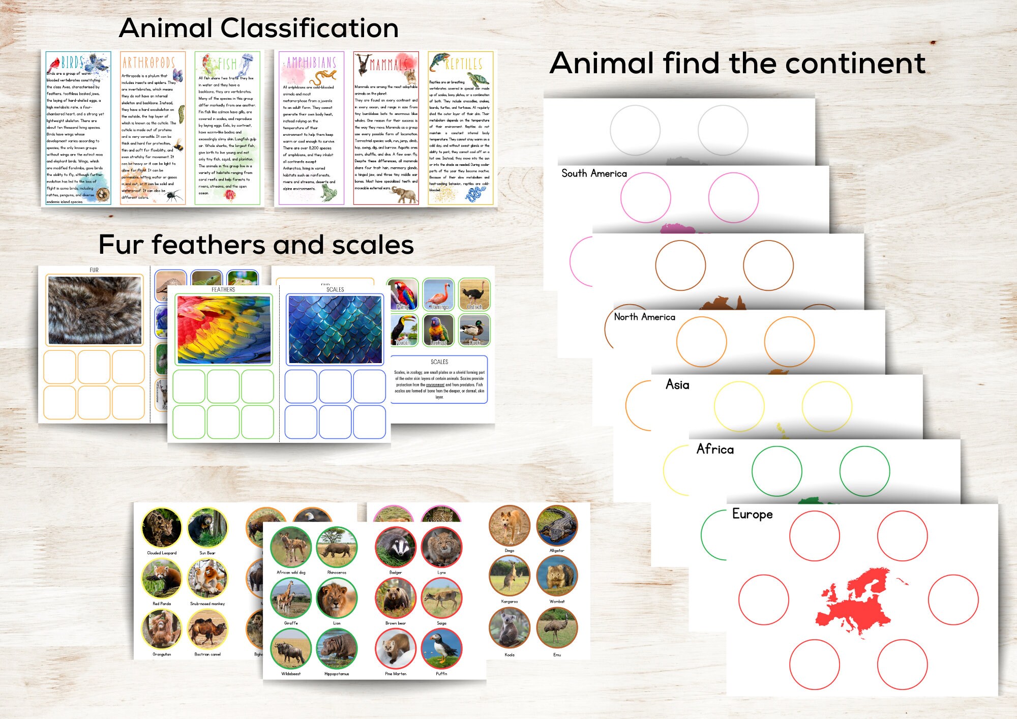 Animal Unit Study Homeschool Preschool Worksheets Animal Activity Sheet ...