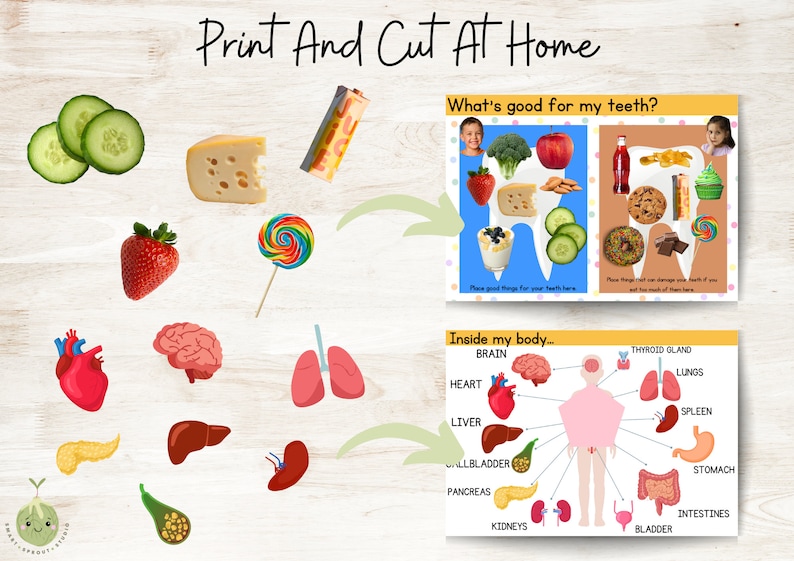 My Body Busy Book Printable Toddler Activities Preschool Curriculum ...