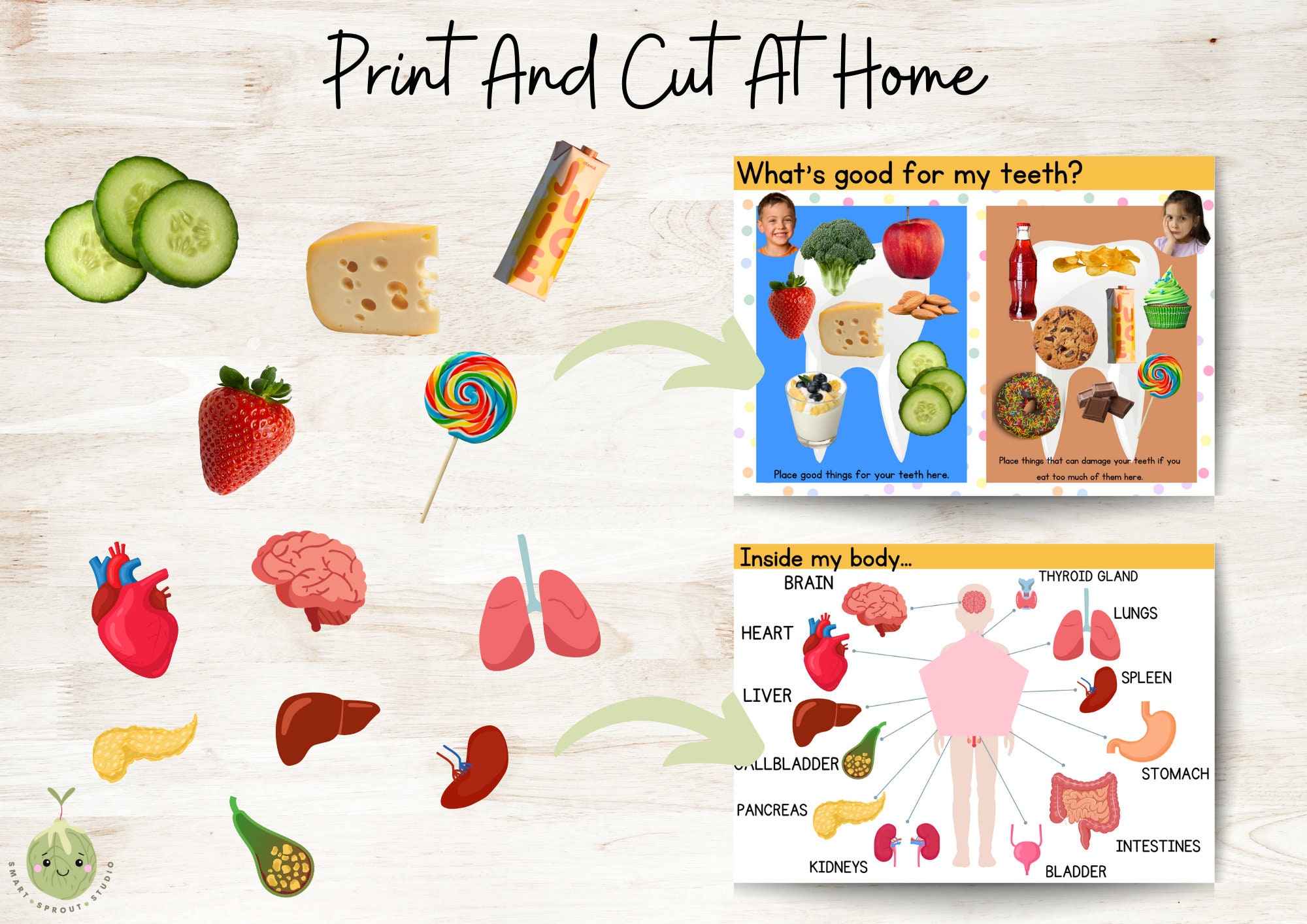 My Body Busy Book Printable Toddler Activities Preschool Curriculum ...