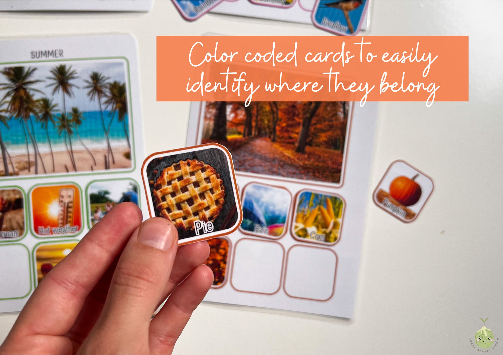 Homeschool Printable Seasons Sorting Activity for Kindergarten - Etsy