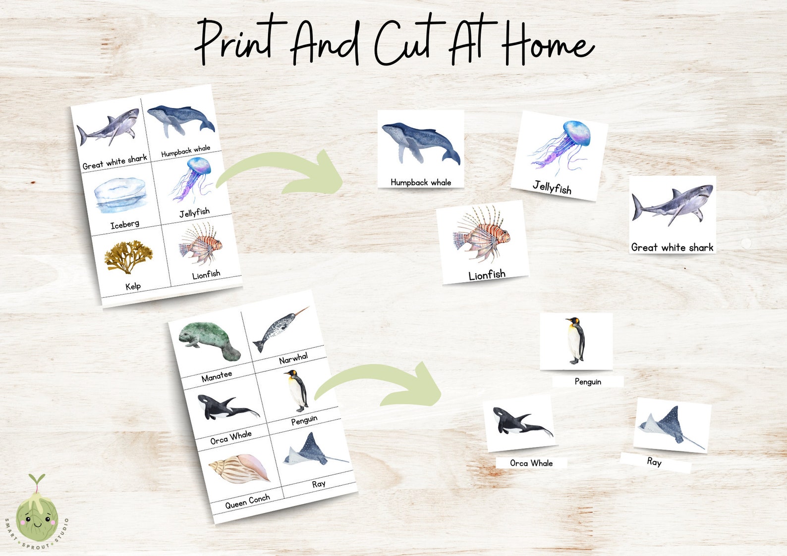 Ocean Flash Cards Animal Flash Cards for Toddlers Montessori Homeschool ...