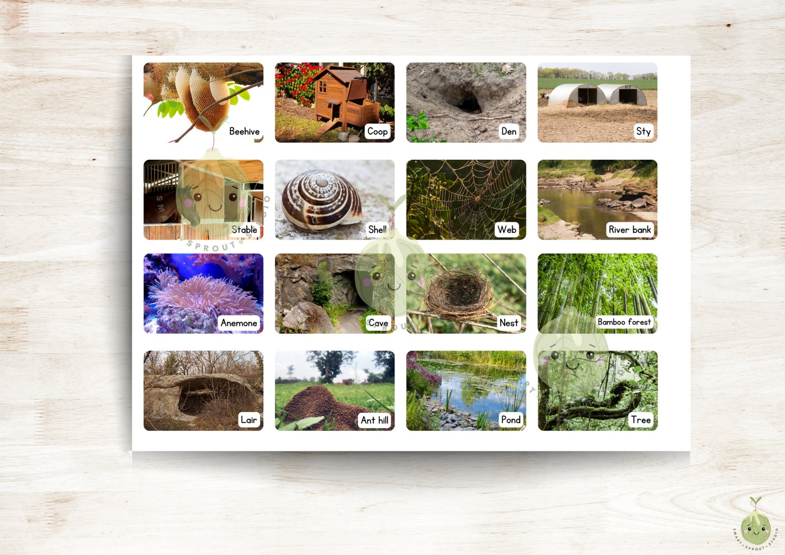 Animal Educational Activity Home Naming and Matching Printable Science ...