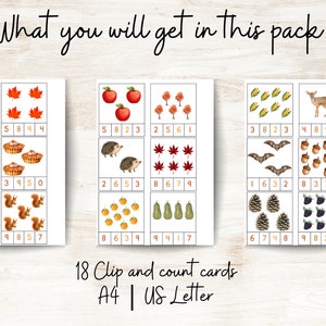 Count and Clip Cards 1-10 Printable Activity for Toddlers Montessori ...