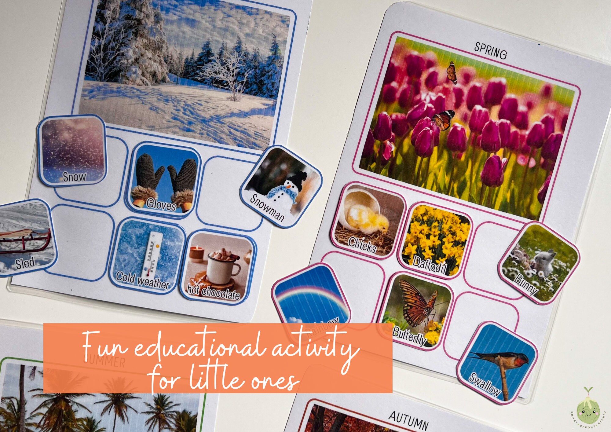 Homeschool Printable Seasons Sorting Activity for Kindergarten - Etsy