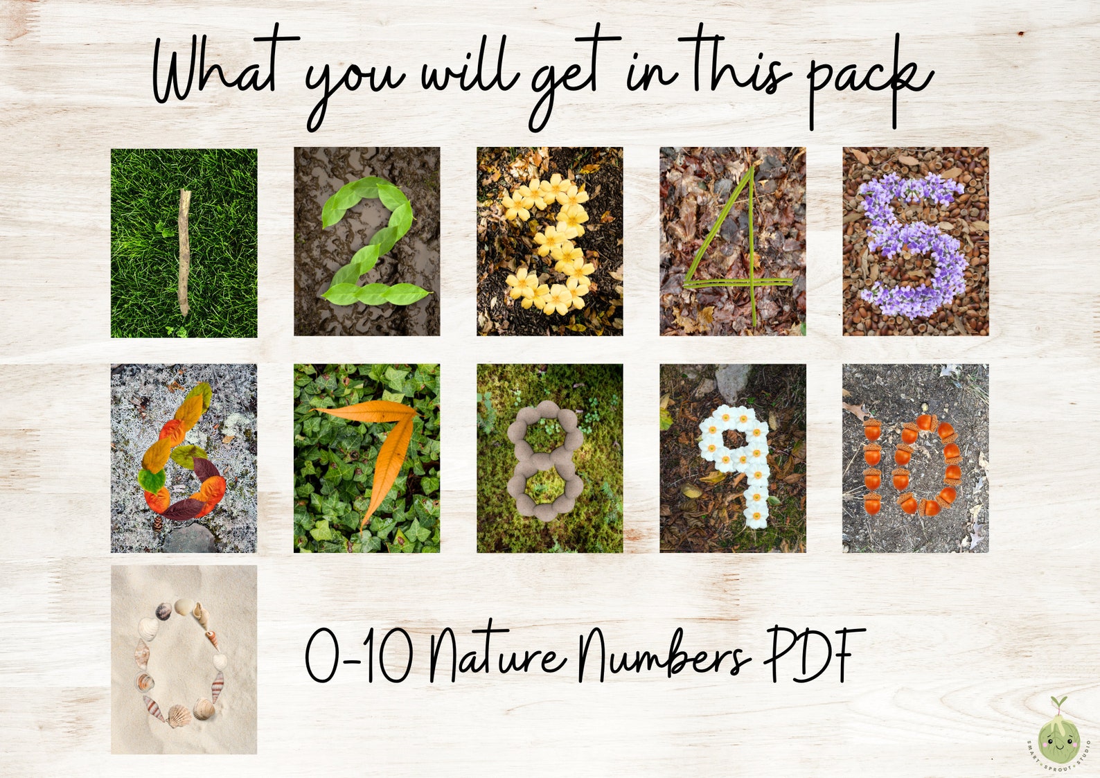 Nature Number Cards Flash Cards Montessori Materials Homeschool Toddler ...