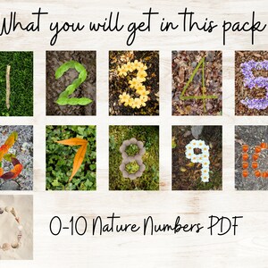 Nature Number Cards Flash Cards Montessori Materials Homeschool Toddler ...