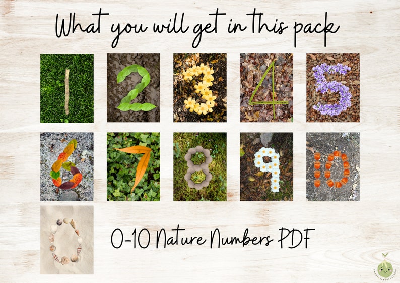 Nature Number Cards Flash Cards Montessori Materials Homeschool Toddler ...