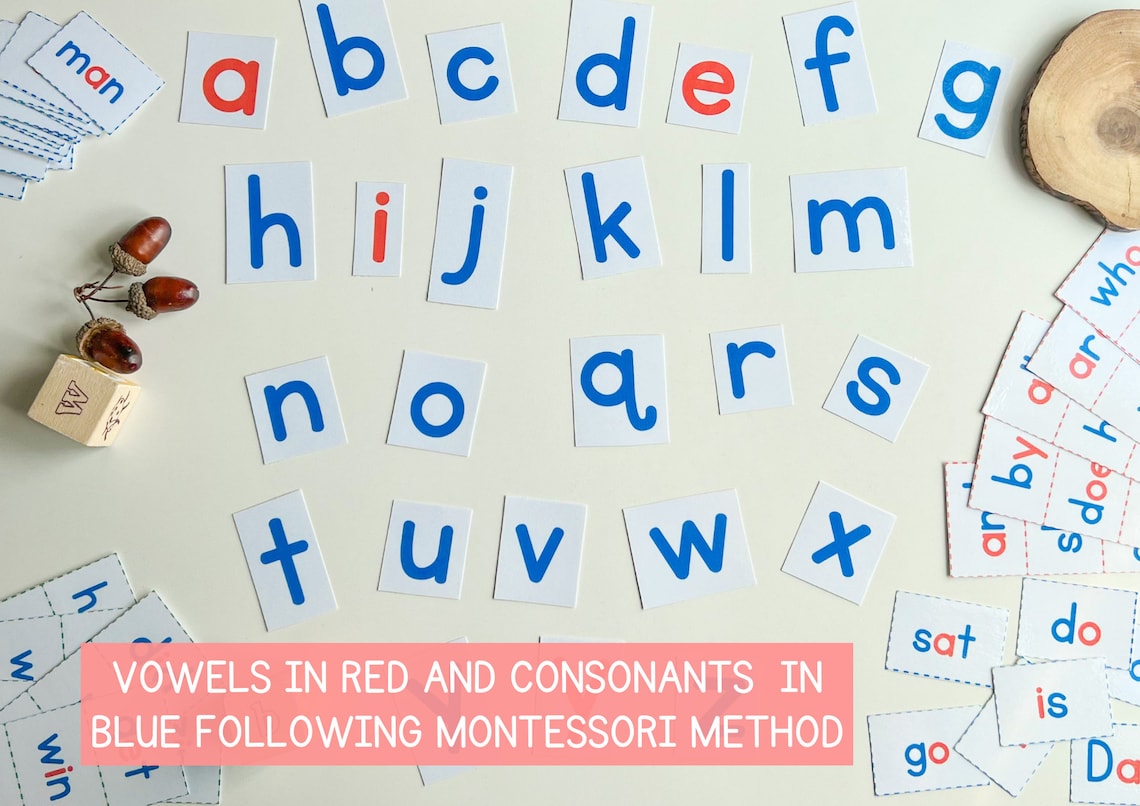 Phonics Activities CVC Phonics Worksheet Kindergarten Phonics ...