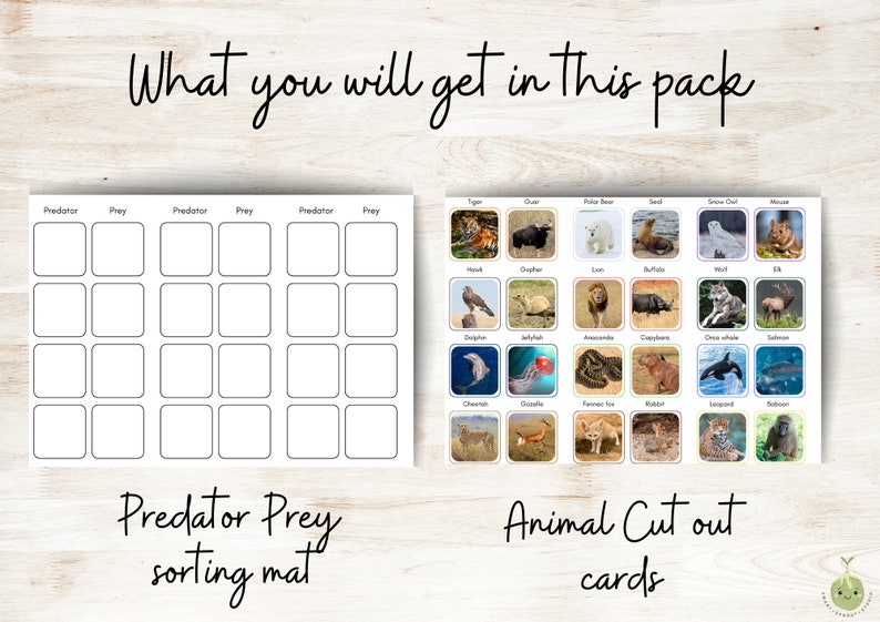 Animal Educational Activities for Preschool Predator and Prey Animal ...