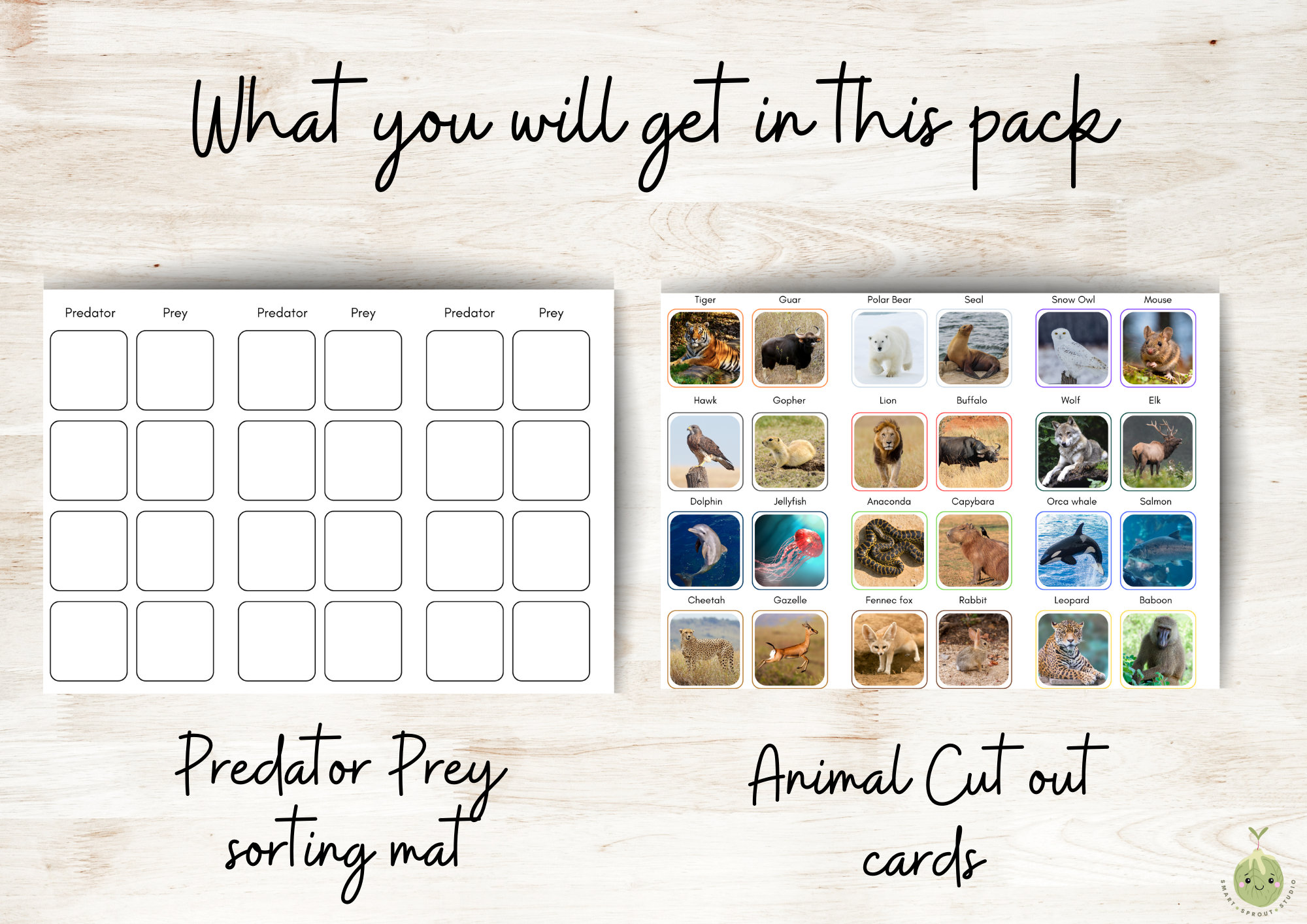 Animal Educational Activities for Preschool Predator and Prey Animal ...