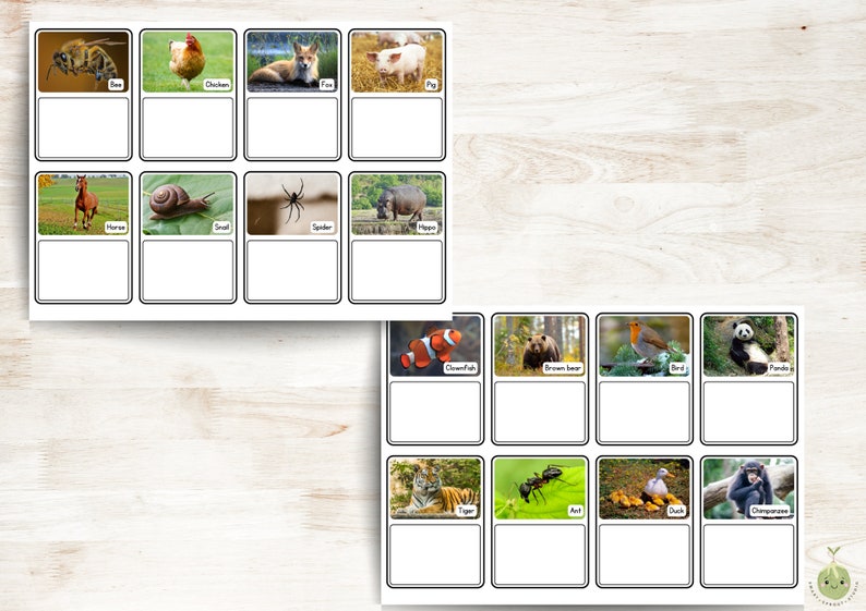 Animal Educational Activity Home Naming and Matching Printable Science ...