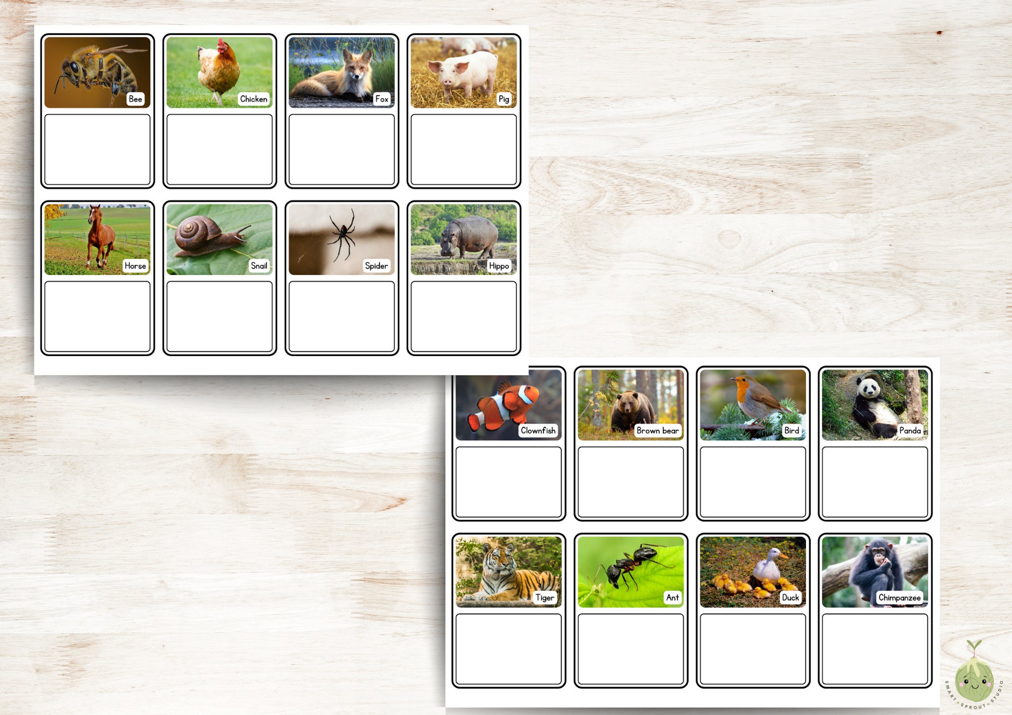 Animal Educational Activity Home Naming and Matching Printable Science ...