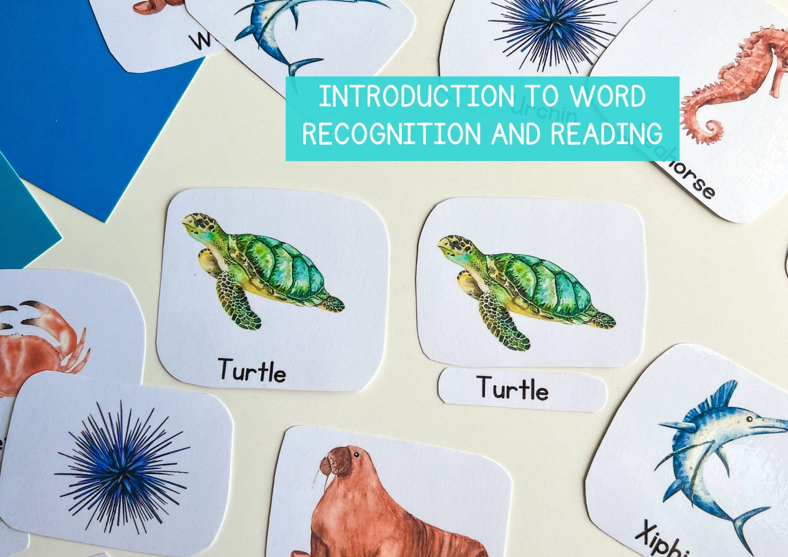 Ocean Flash Cards Animal Flash Cards for Toddlers Montessori Homeschool ...