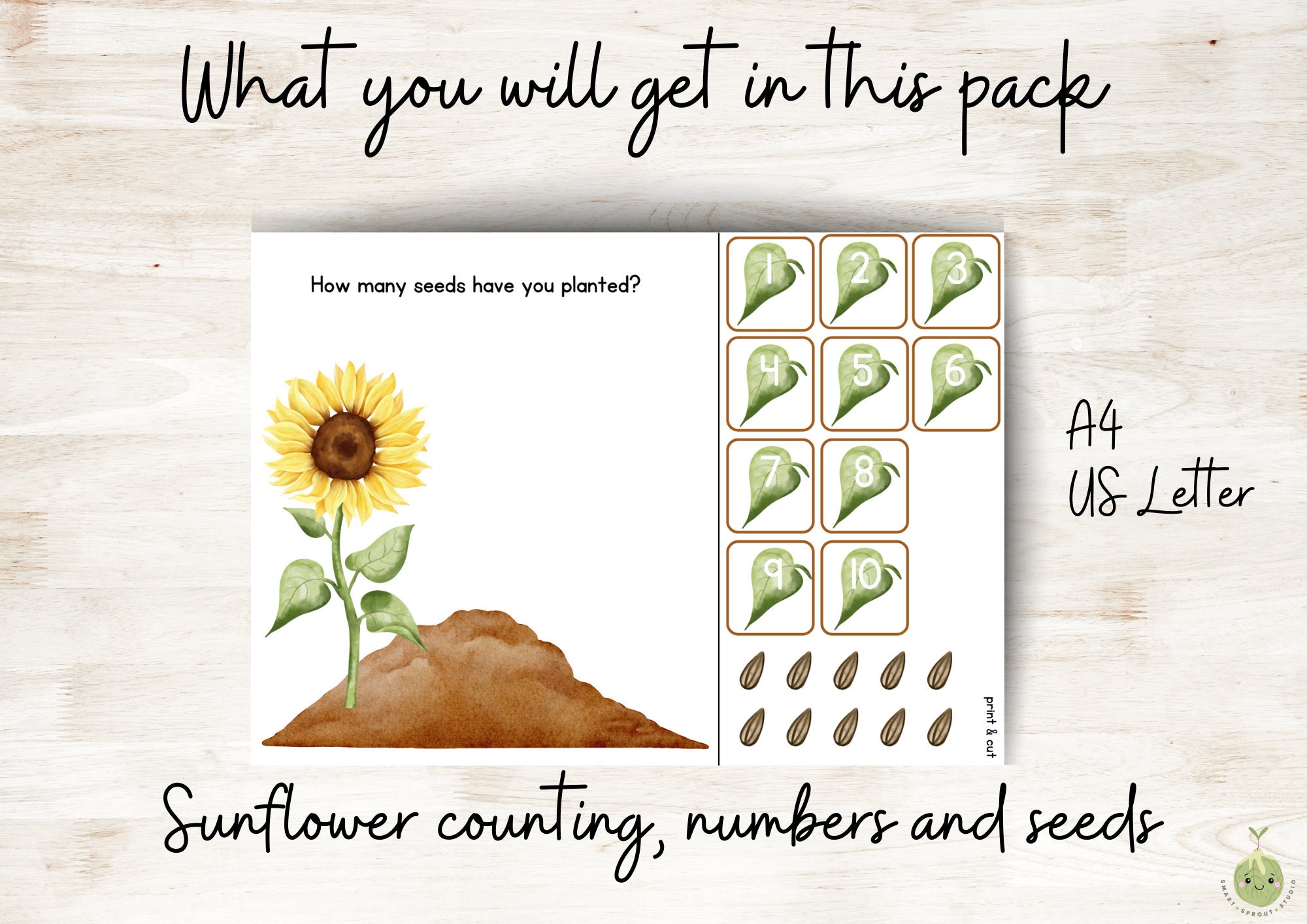 Sunflower Math Counting Fall Educational Activities for Toddlers ...