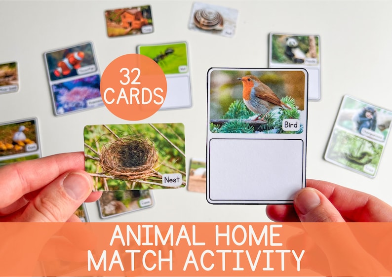 Animal Educational Activity Home Naming and Matching Printable Science ...