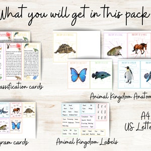 Animal Classification Anatomy Unit Study Printable Homeschool ...