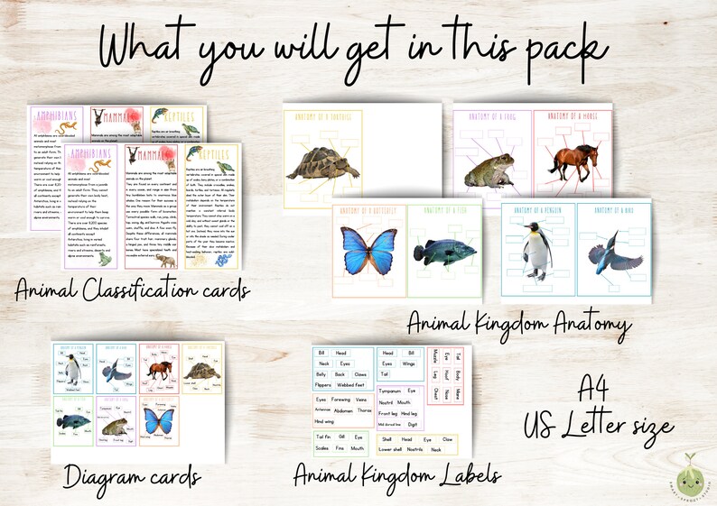 Animal Classification Anatomy Unit Study Printable Homeschool ...