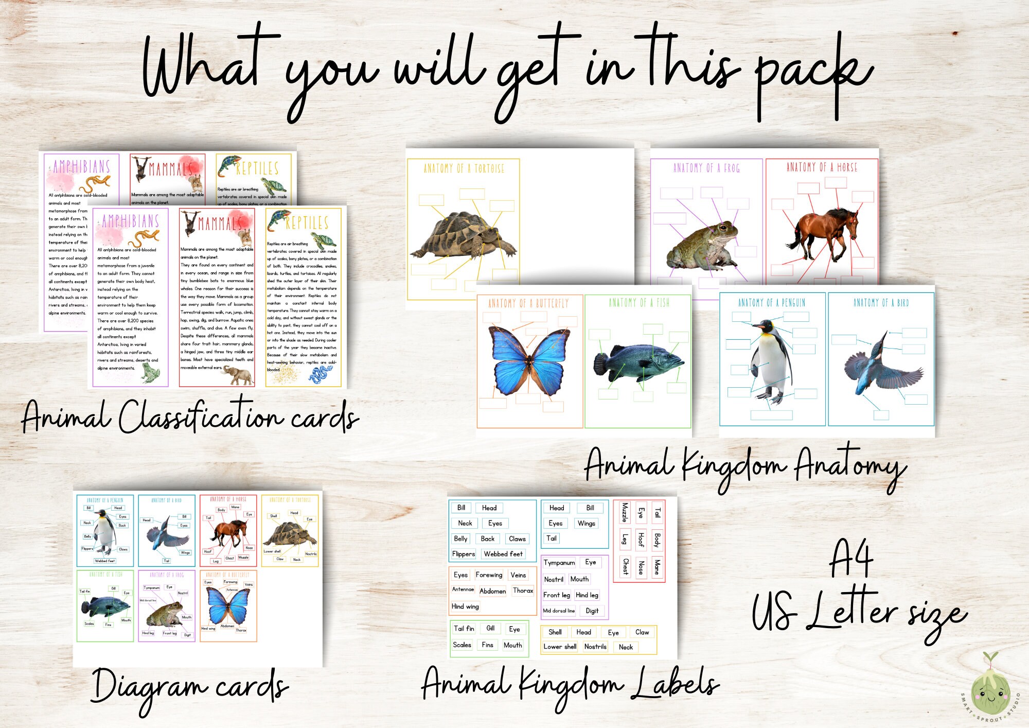 Animal Classification Anatomy Unit Study Printable Homeschool ...