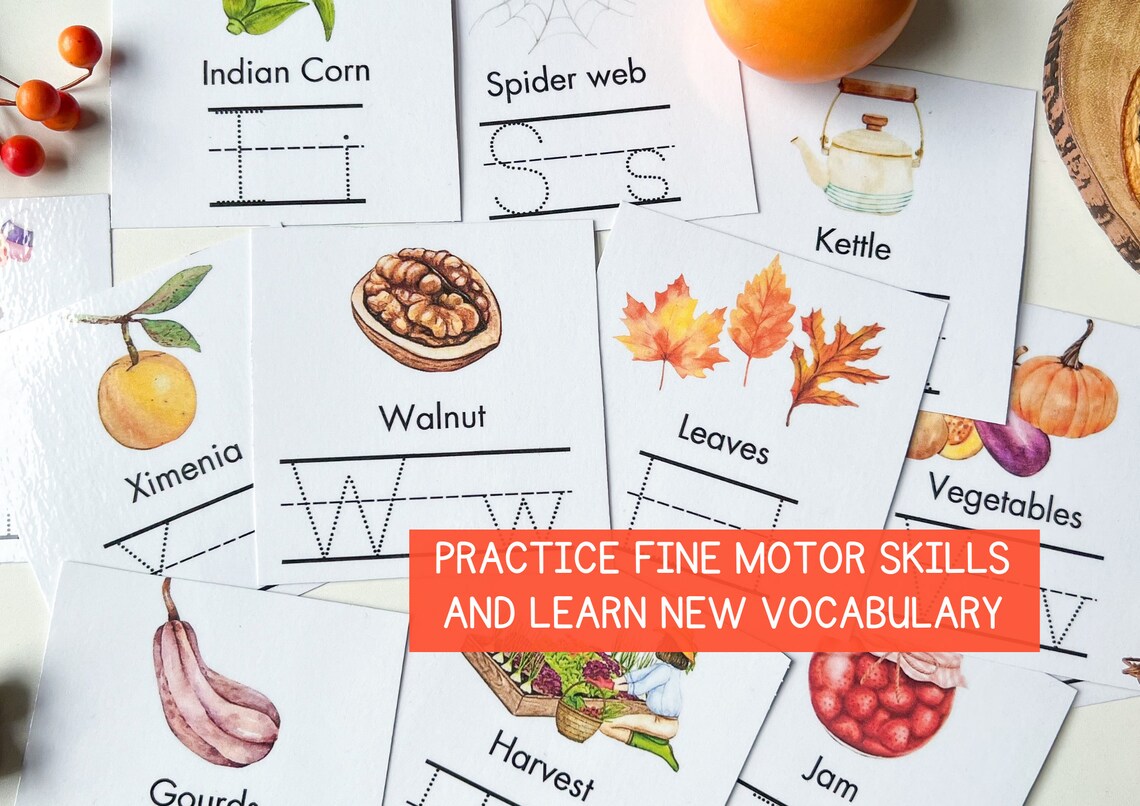 Alphabet Tracing Phonetic Cards Printable for Toddlers Montessori ...