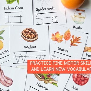 Alphabet Tracing Phonetic Cards Printable for Toddlers Montessori ...