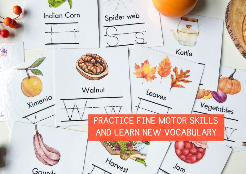 Alphabet Tracing Phonetic Cards Printable for Toddlers Montessori ...