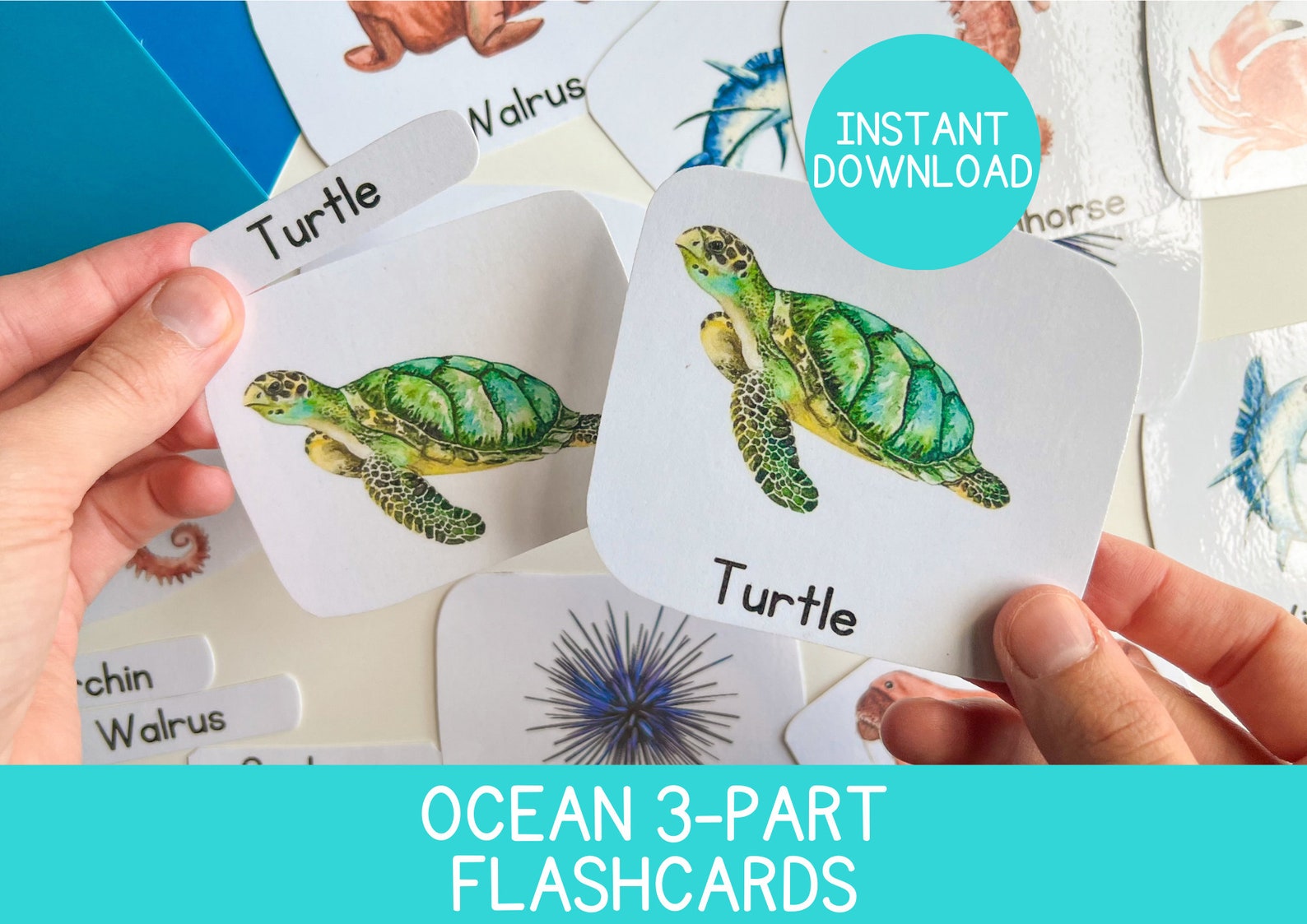 Ocean Flash Cards Animal Flash Cards for Toddlers Montessori Homeschool ...