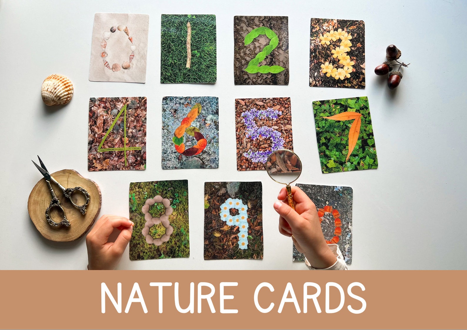 Nature Number Cards Flash Cards Montessori Materials Homeschool Toddler ...