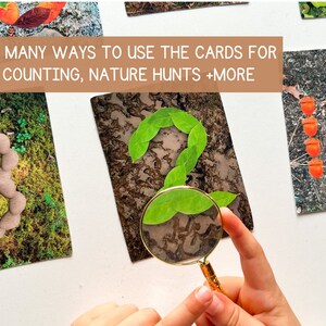 Nature Number Cards Flash Cards Montessori Materials Homeschool Toddler ...