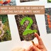 Nature Number Cards Flash Cards Montessori Materials Homeschool Toddler ...