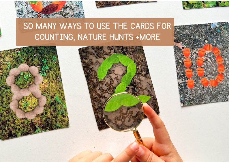 Nature Number Cards Flash Cards Montessori Materials Homeschool Toddler ...