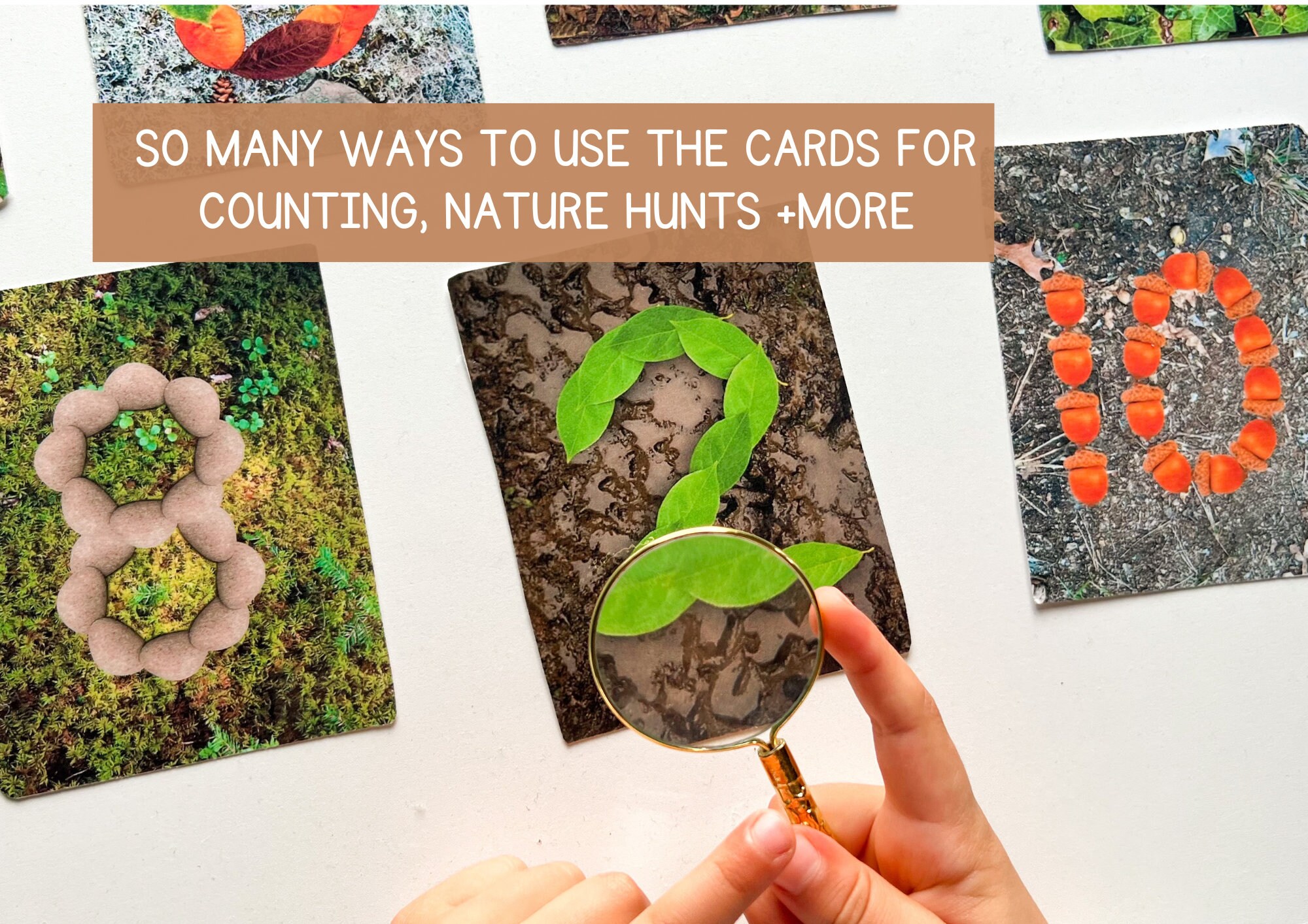 Nature Number Cards Flash Cards Montessori Materials Homeschool Toddler ...