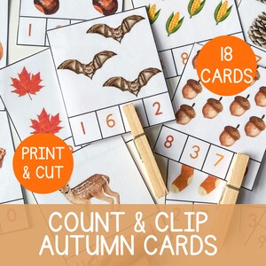 Count and Clip Cards 1-10 Printable Activity for Toddlers Montessori ...