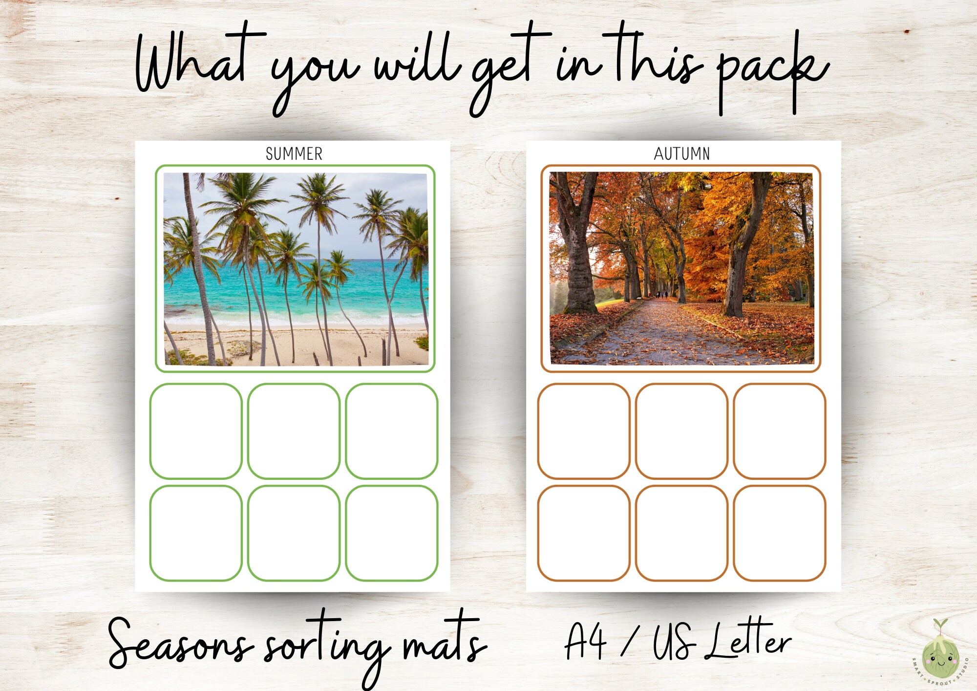 Homeschool Printable Seasons Sorting Activity for Kindergarten - Etsy