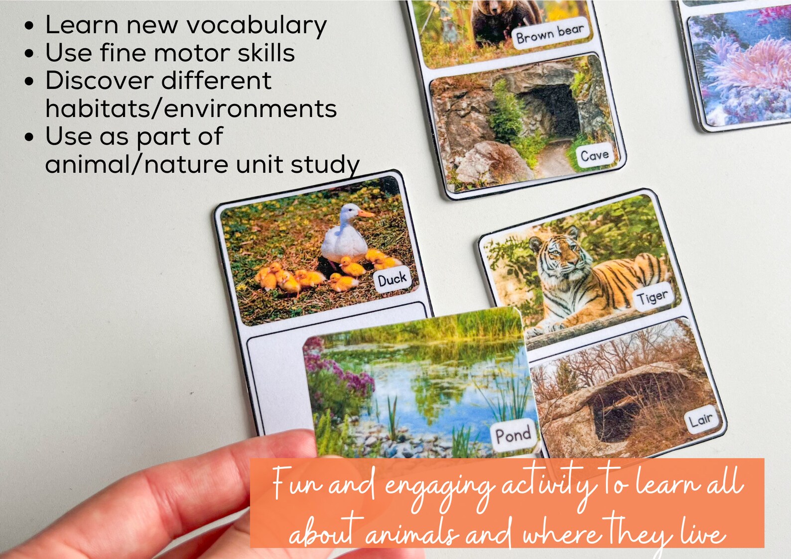 Animal Educational Activity Home Naming and Matching Printable Science ...