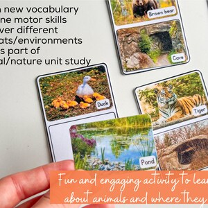 Animal Educational Activity Home Naming and Matching Printable Science ...