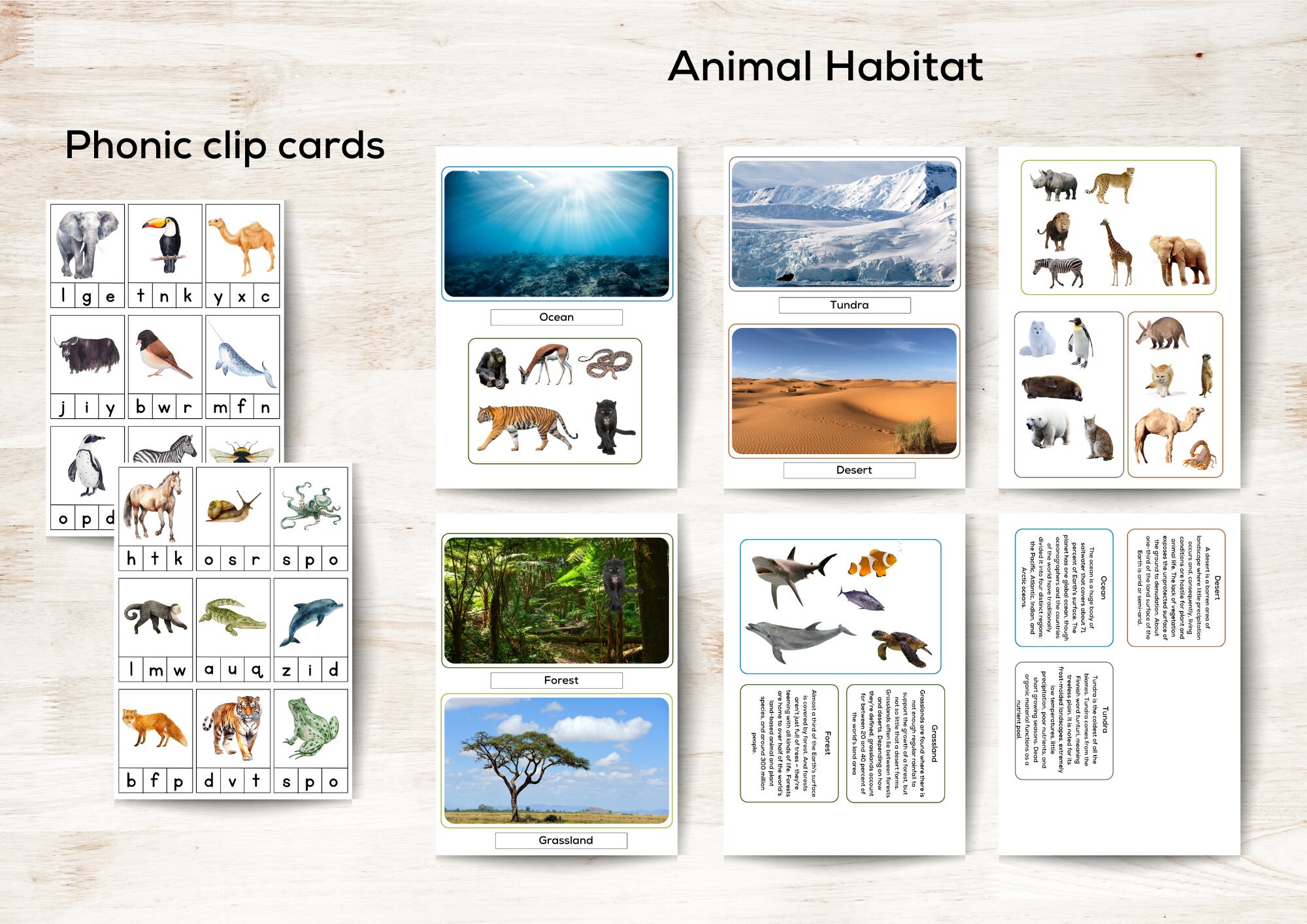 Animal Unit Study Homeschool Preschool Worksheets Animal Activity Sheet ...