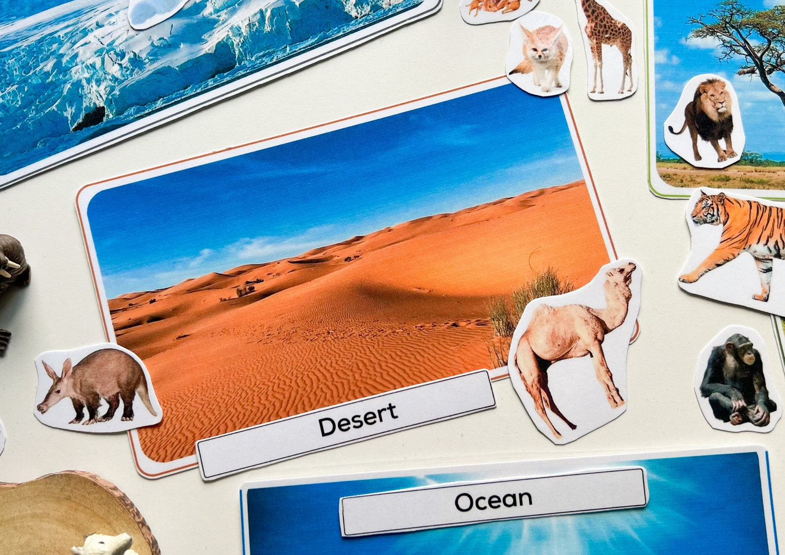 Animal Matching Habitat Unit Study Printable Homeschool Activities for ...