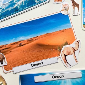 Animal Matching Habitat Unit Study Printable Homeschool Activities for ...