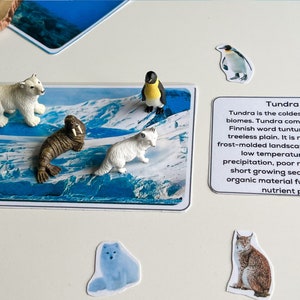 Animal Matching Habitat Unit Study Printable Homeschool Activities for ...