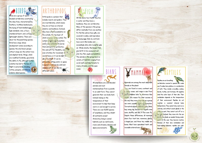 Animal Classification Anatomy Unit Study Printable Homeschool ...