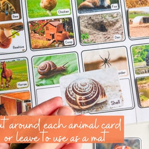 Animal Educational Activity Home Naming and Matching Printable Science ...