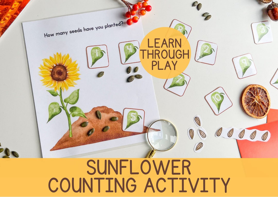 Sunflower Math Counting Fall Educational Activities for Toddlers ...