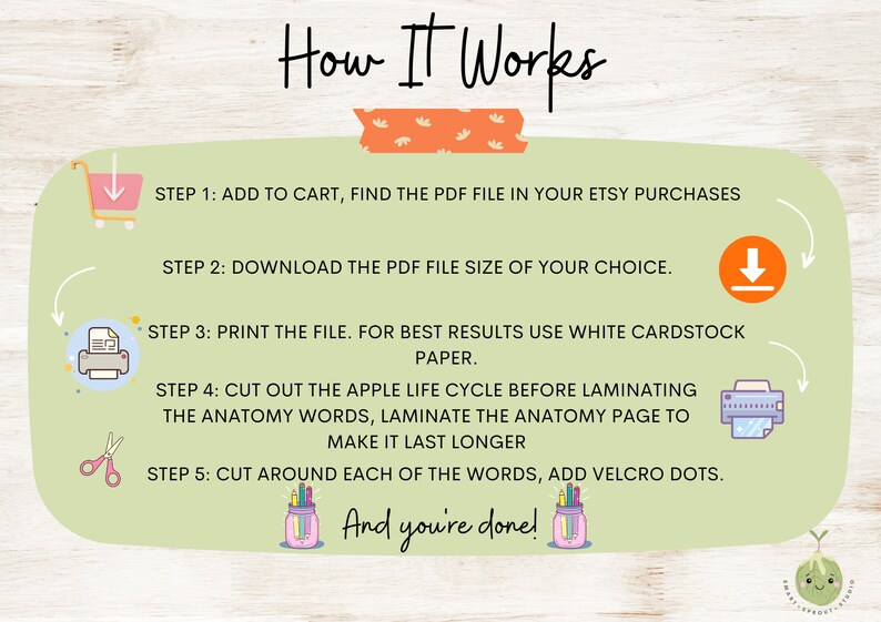 Apple Life Cycle Autumn Printable Worksheet Fall Activity for Toddlers ...