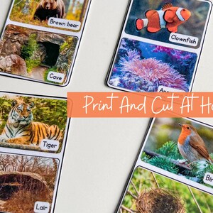 Animal Educational Activity Home Naming and Matching Printable Science ...