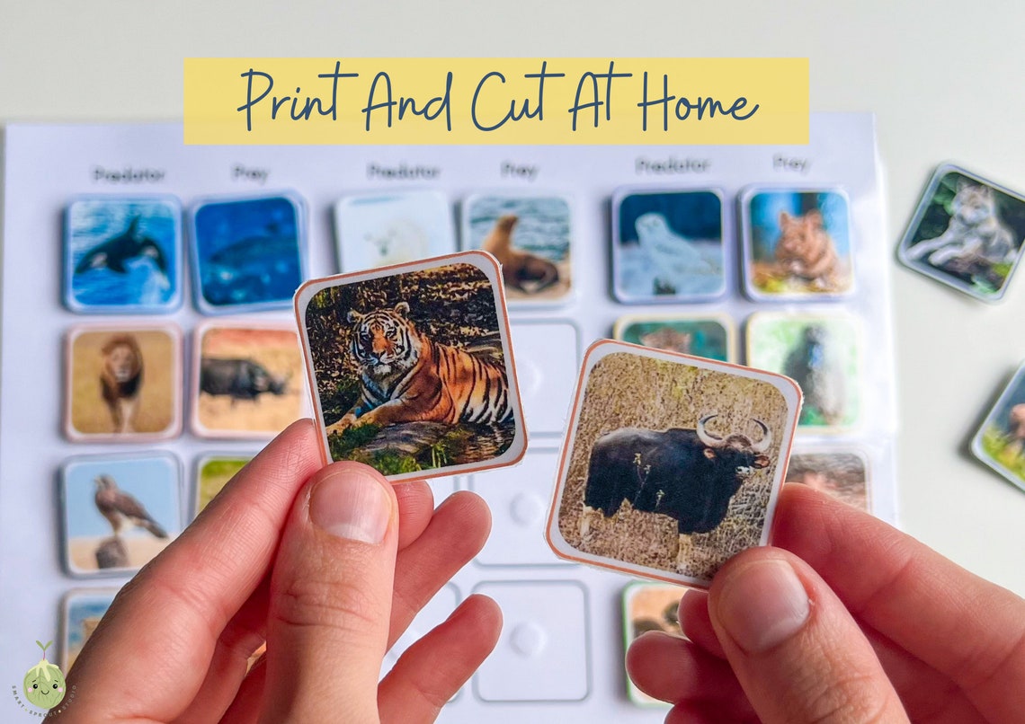 Animal Educational Activities for Preschool Predator and Prey Animal ...